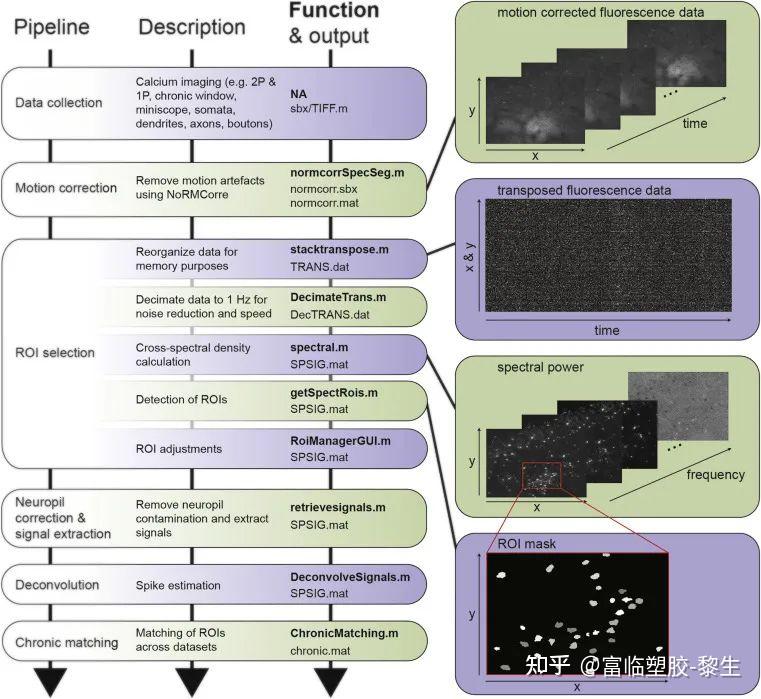 Miniscope钙成像SpecSeg 是一个多功能工具箱，它基于低频交叉光谱功率对慢性钙成像数据 - 知乎