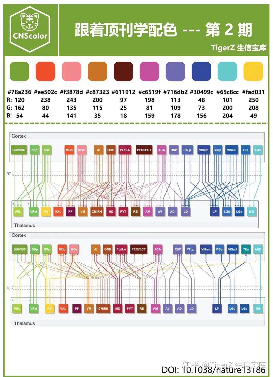 跟着顶刊学配色第 2 期 (附开源免费的配色网站) - 知乎
