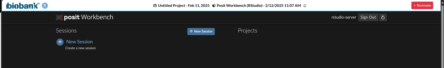 如何使用UKB-RAP平台中的云Rstudio - 知乎
