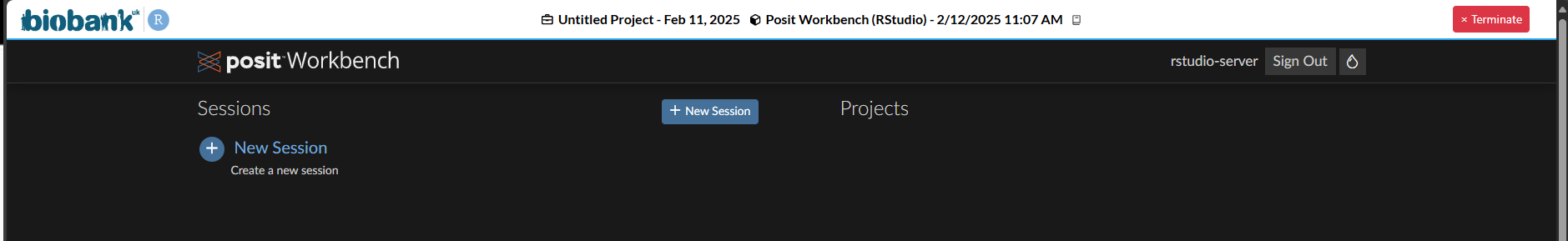 如何使用UKB-RAP平台中的云Rstudio - 知乎