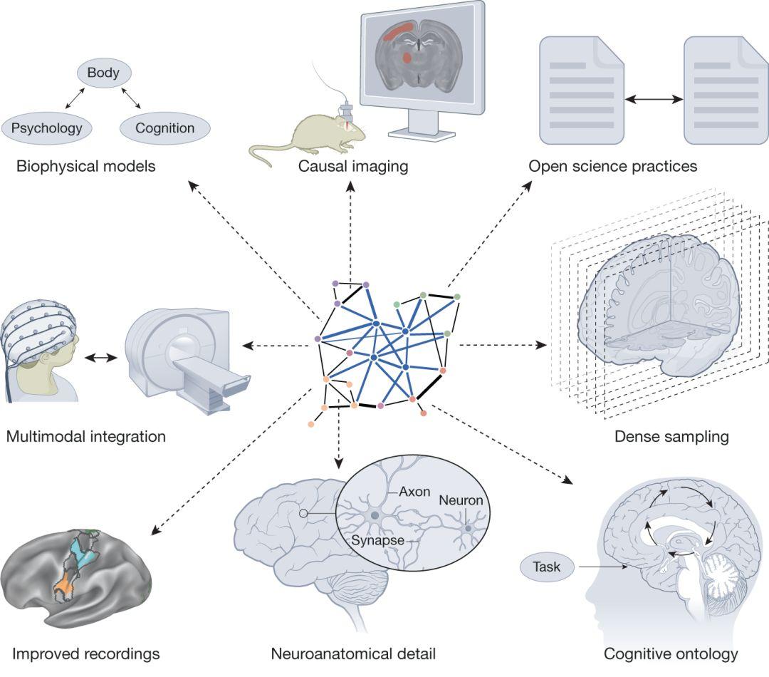 Nature：fMRI联接系统神经、认知神经、计算神经和临床神经科学 - 知乎