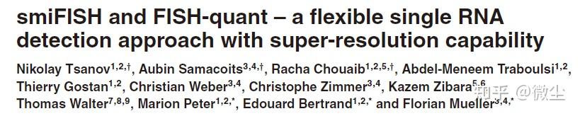 RNA or Gene FISH - 知乎