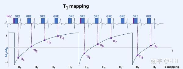 核磁共振影像T1/T2 fitting（matlab/python） - 知乎