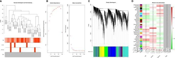 7+差异分析+WGCNA+PPI网络，学会了不吃亏 - 知乎