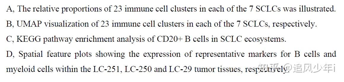10X单细胞空间联合分析人类小细胞肺癌肿瘤生态系统和空间结构 - 知乎