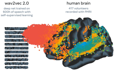 Meta开发AI“读心术”系统，仿真大脑模型，大脑活动直接转文字 - 知乎
