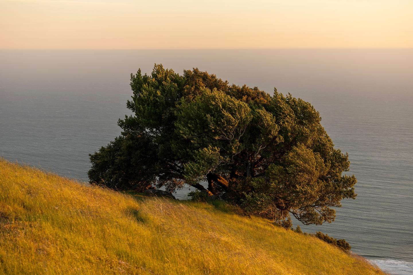 clang-format的安装和使用 - 知乎