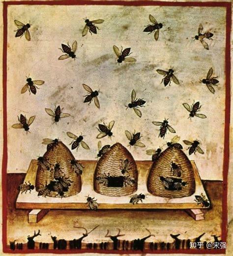 Sylvia Plath(西尔维亚·普拉斯)《The Arrival of the Bee Box》《蜜蜂盒的到来》解析 - 知乎