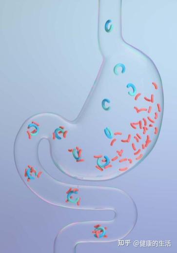 pylomed免幽益生菌养胃片，一种对抗幽门螺杆菌感染的新方式 - 知乎