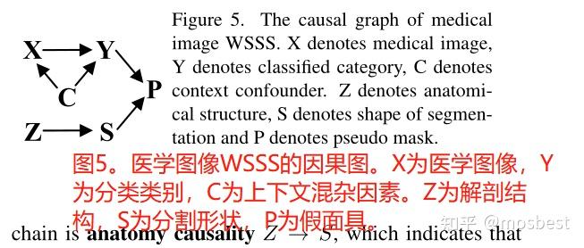 CVPR: C-CAM: Causal CAM for Weakly Supervised Semantic Segmentation on Medical Image - 知乎