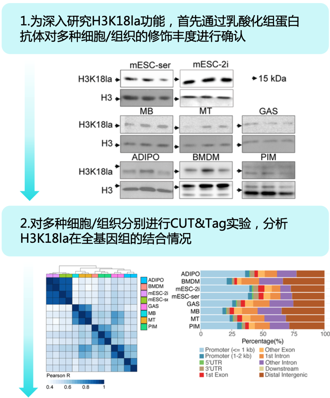 三大经典CUT&Tag应用场景 - 知乎