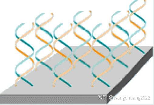 基因芯片(gene chip) - 知乎