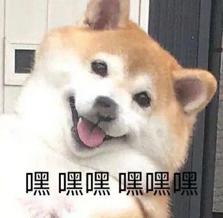 再分享一些狗狗表情包(›´ω`‹ ) - 知乎
