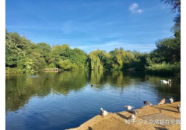 伦敦西南优雅小资之选｜Springfield Place - 知乎