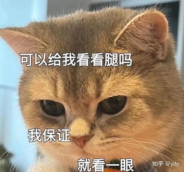 可爱的涩涩表情包子！ - 知乎