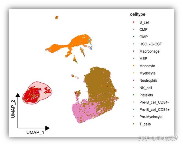 单细胞UMAP图只标记特定细胞群、圈定细胞群及坐标轴修改 - 知乎