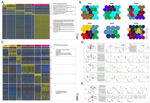Mol Cancer（IF=41）| 首都医科大学揭示多发性骨髓瘤细胞异质性的机制 - 知乎