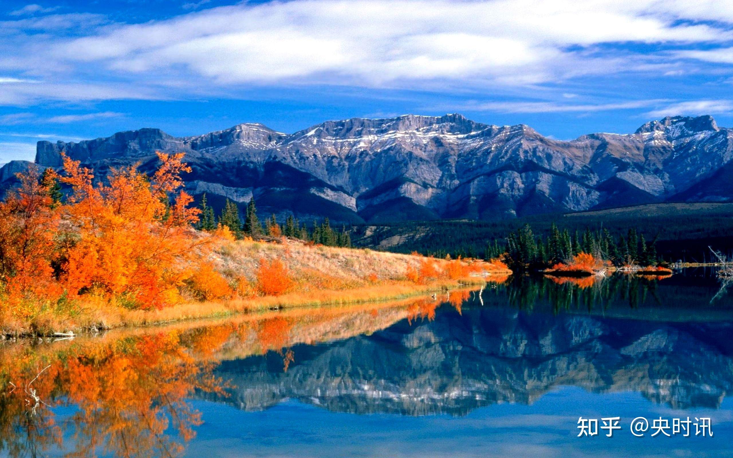 加拿大枫叶卡过期了怎么办？ - 知乎