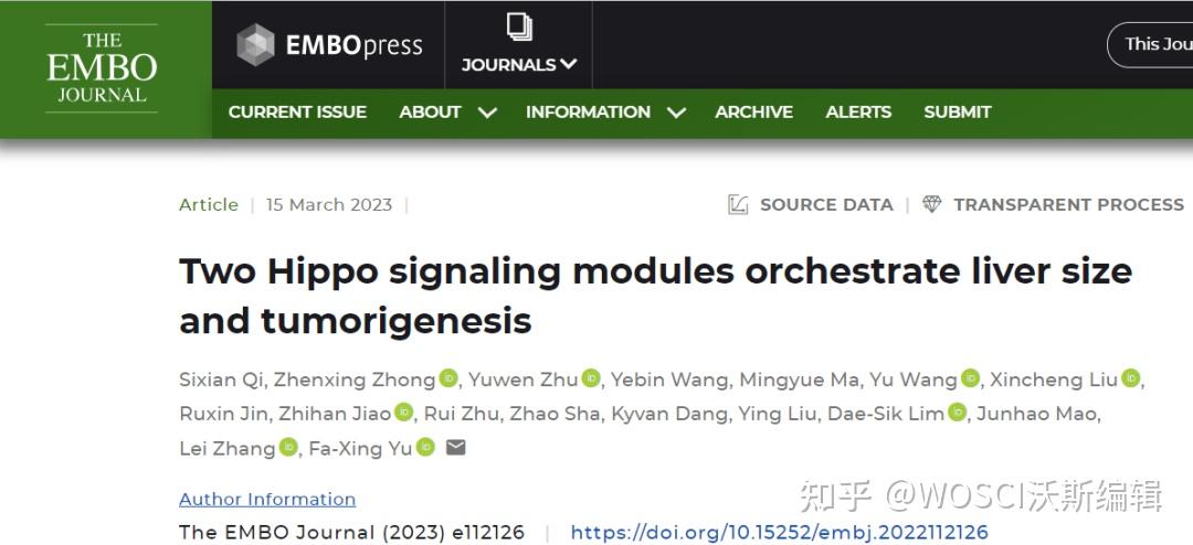 EMBO J | 复旦大学团队发现两个Hippo信号模块协调肝脏大小和肿瘤发生 - 知乎