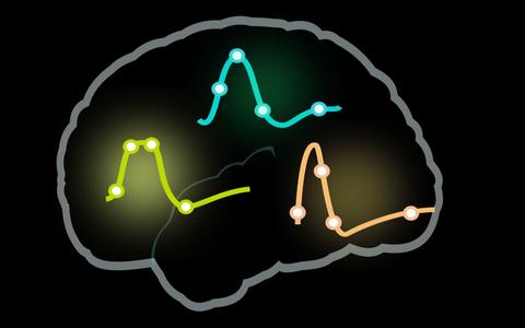 rsHRF：静息态血液动力学响应函数估计和去卷积工具包 - 知乎