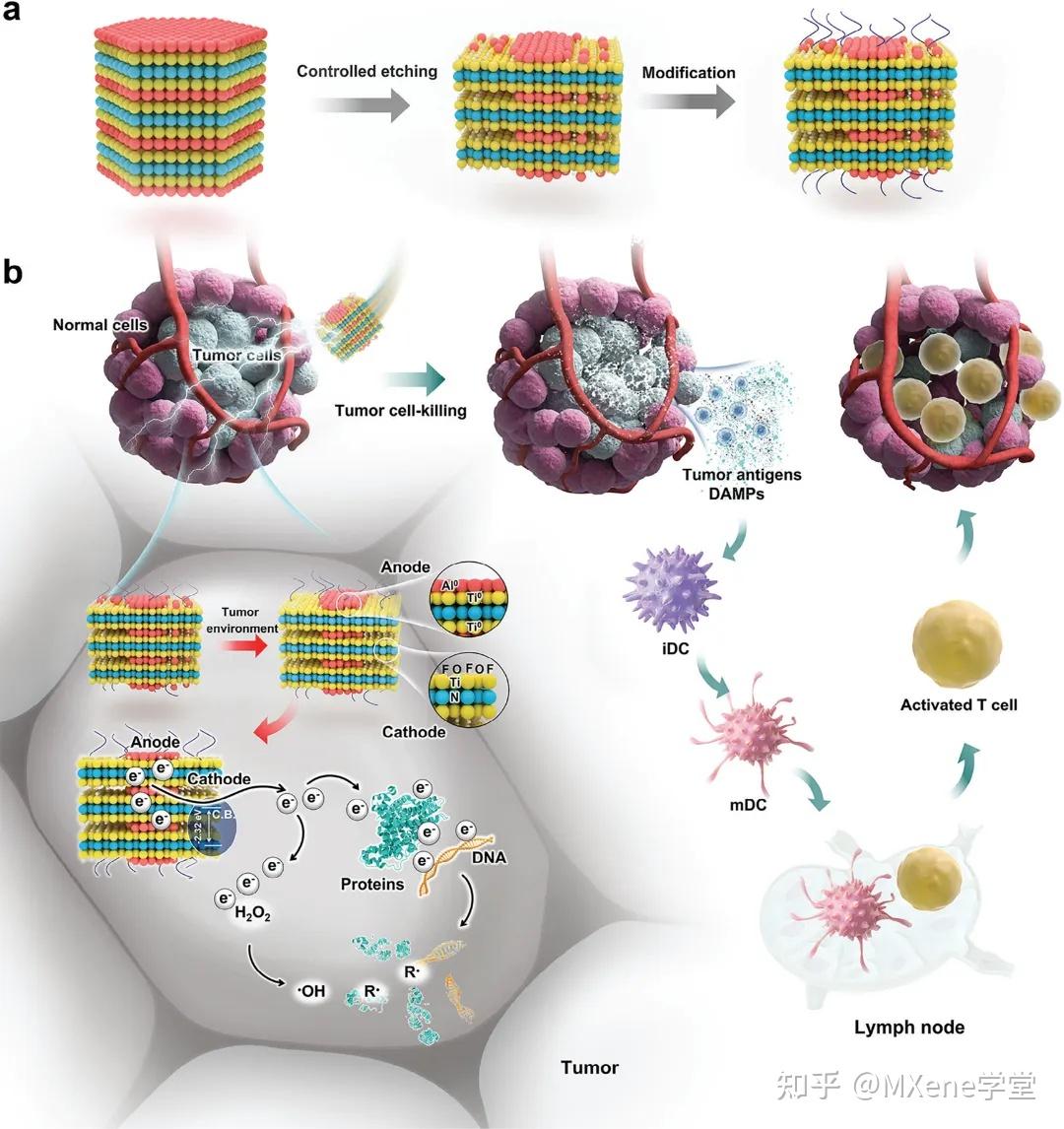 《AM》中科大尤业字教授：Ti2N MXene基纳米电流细胞在肿瘤中释放高反应性电子用于有效消除肿瘤 - 知乎