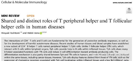 Cell Mol Immunol综述: T外周辅助细胞和T滤泡辅助细胞在人类疾病中的共同和独特的作用 - 知乎