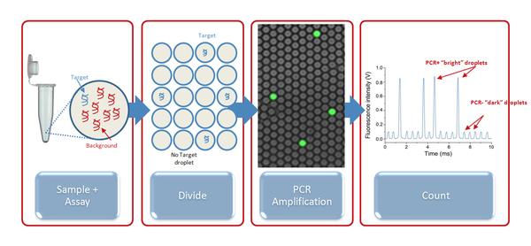 Droplet Digital Pcr