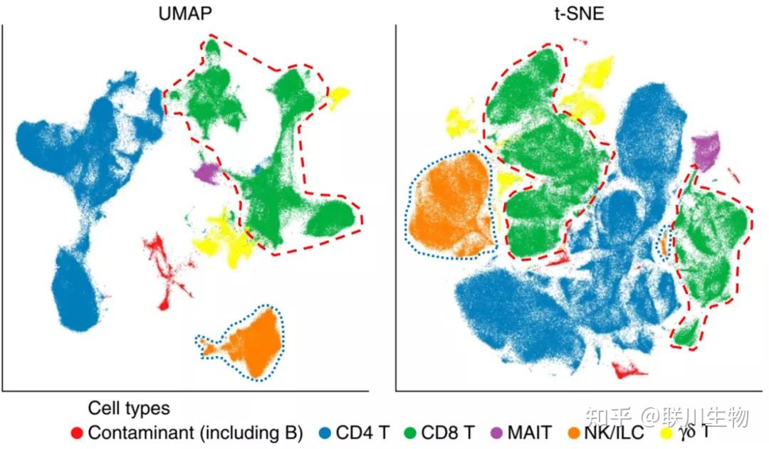 【干货】高分SCI要用tSNE还是UMAP？ - 知乎
