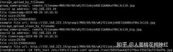 FastDFS集群搭建 （绝对可用版） - 知乎