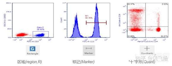 FlowJo流式数据分析基础—常见术语 - 知乎