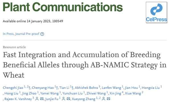 合作文章| 中国农科院作科所构建小麦AB-NAMIC群体为基因发掘与育种利用提供有力支撑 - 知乎