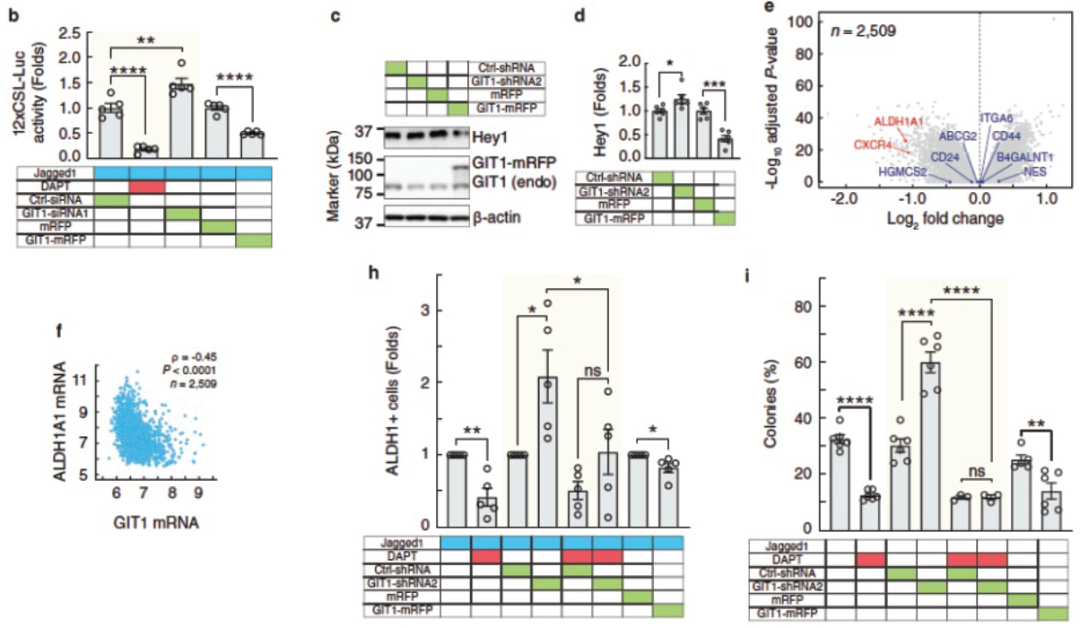 Nat Commun︱卡罗林斯卡医学院发现GIT1抑制乳腺癌生长并可评估患者预后风险 - 知乎