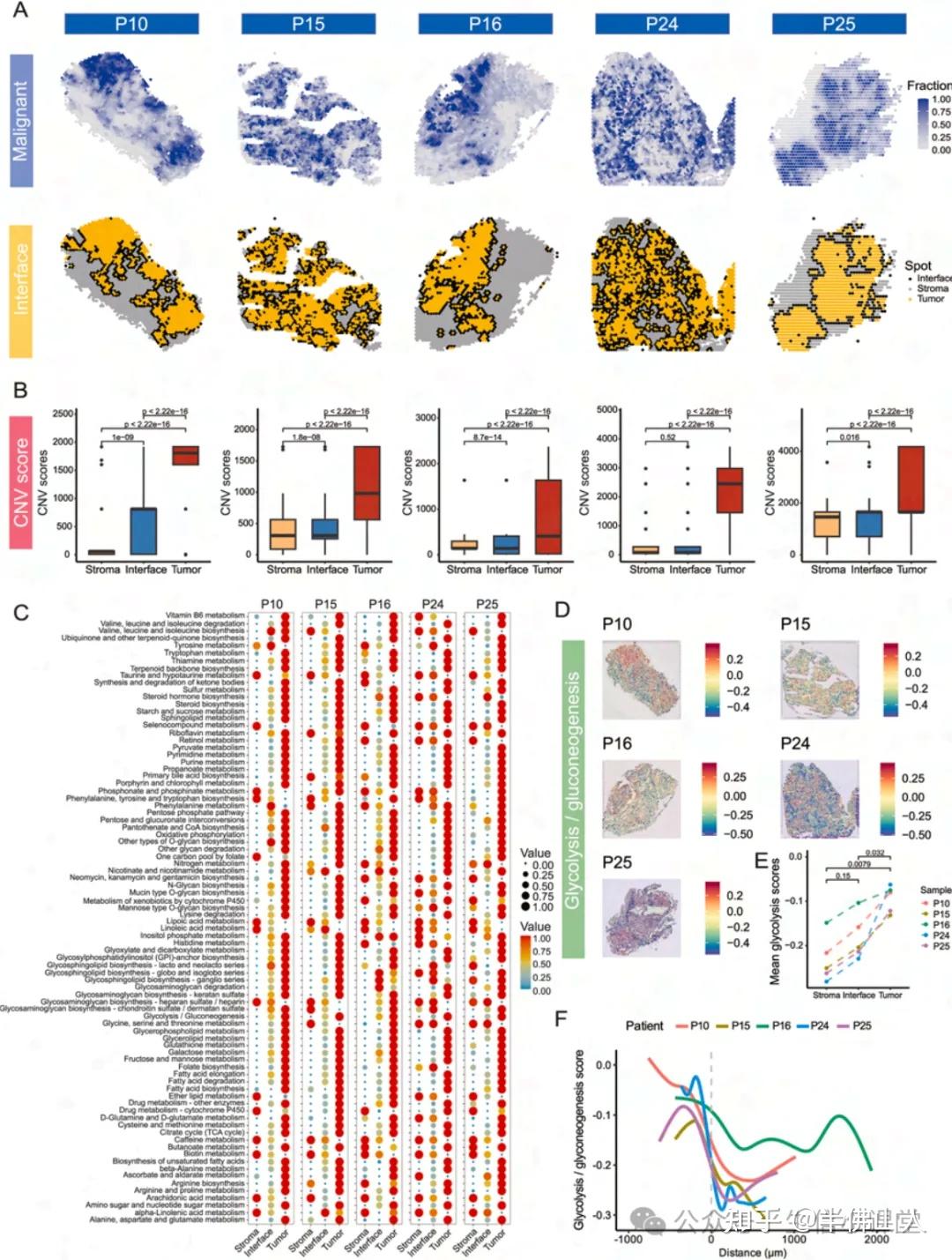 最新10+生信，空转+单细胞+H3K18la ChIP-seq+CRISPR+bulk转录组，多组学经典好文，值得收藏！ - 知乎