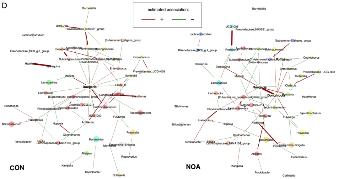 男性不育相关的微生物因素 —— 首次揭示微生物与NOA患者之间的关系 - 知乎