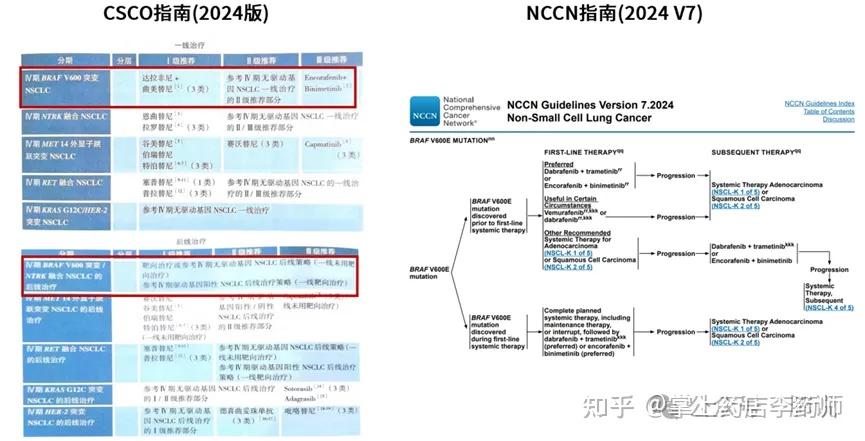 非小细胞肺癌（NSCLC）9大驱动基因：CSCO vs NCCN 治疗指南策略对比分析！附上市及医保报销条件 - 知乎