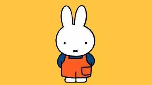Miffy - 知乎