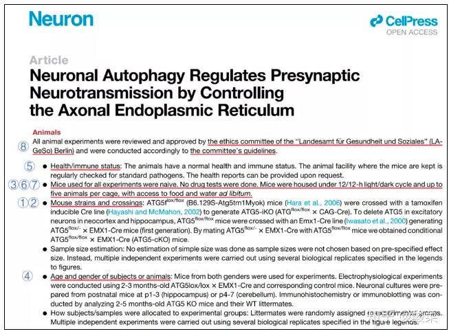 实验动物不会写？看这一篇干货就够了！ - 知乎
