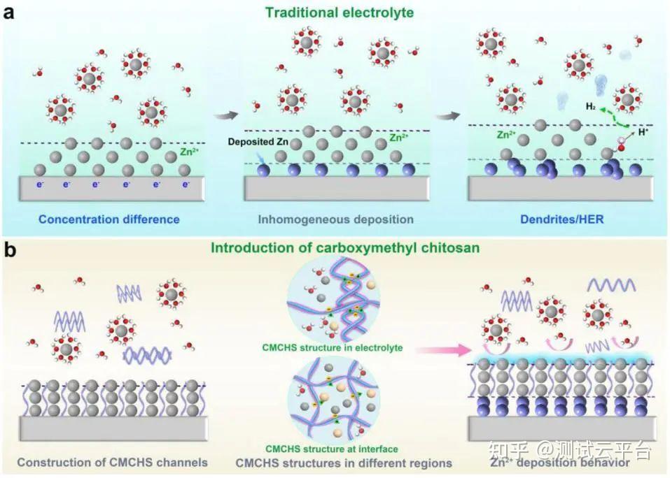 高性能Zn负极！他，国重实验室副主任，南开大学「国家杰青」，新发JACS！ - 知乎