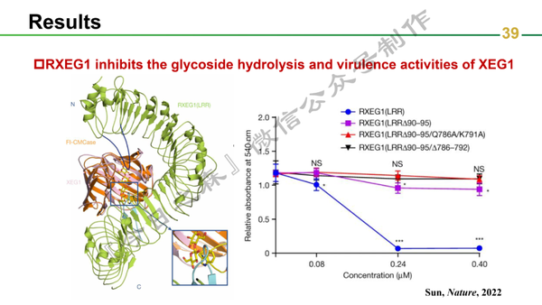 『简述』以大豆疫霉XEG1为核心，简述病原菌与寄主之间的协同进化 - 知乎