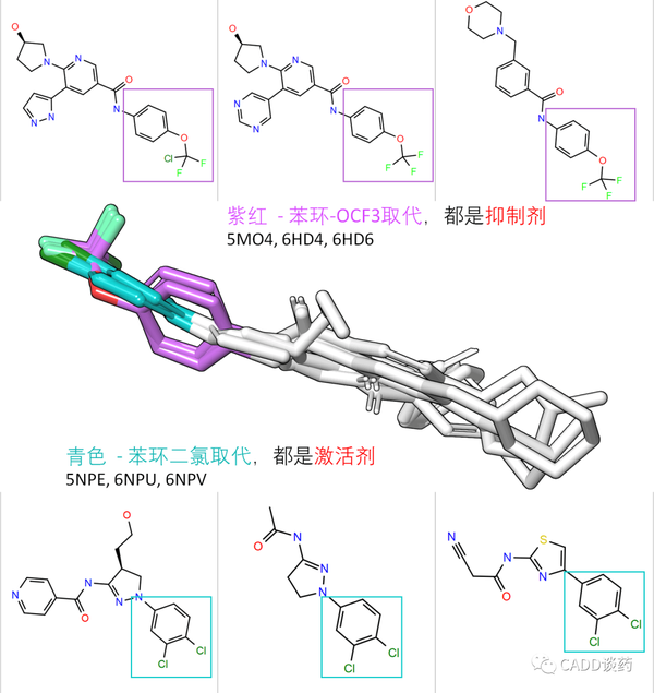 BCR-ABL1变构: 何以激活, 何以抑制 - 知乎
