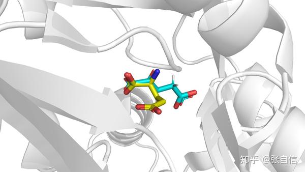 【爆肝万字】基于Rosetta的配体结合位点的设计（Rosetta and the Design of Ligand Binding ...