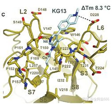 靶向p53 y220c突变体的共价策略 - 知乎