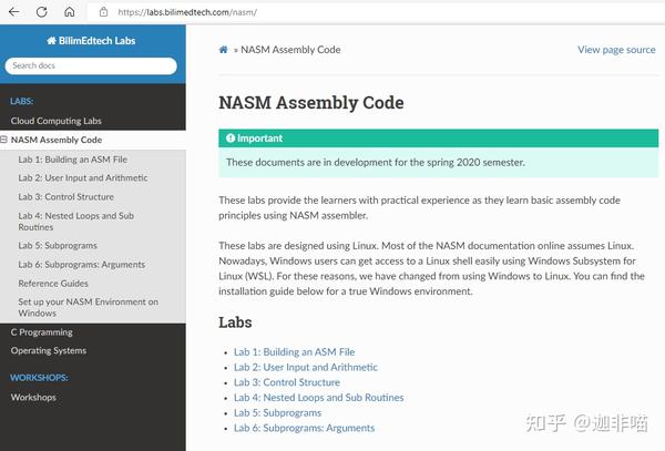 NASM Assembly Code - 知乎