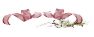 英语问答：hard to overstate 怎么理解？ - 知乎