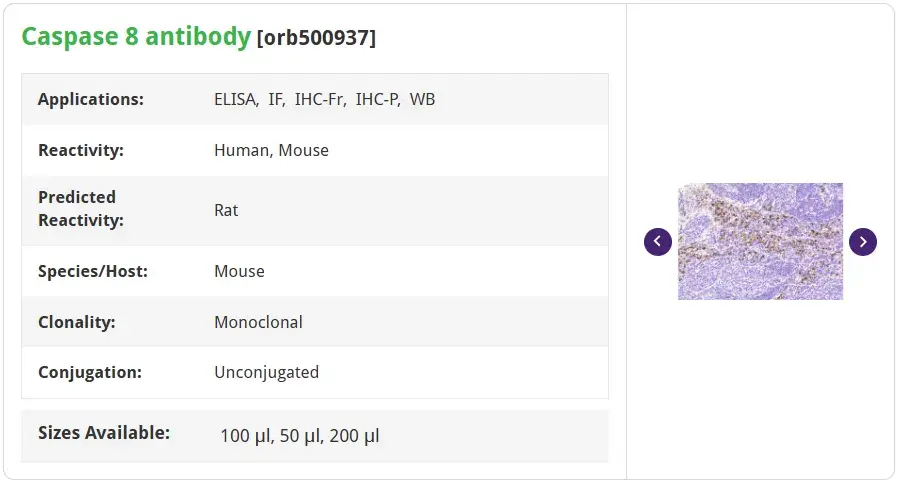 【Biorbyt科研专题】细胞焦亡的信号通路 - 知乎