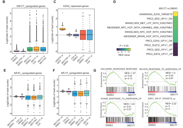 NAR︱蔡玲/王刚/金坚团队合作揭示和靶向前列腺癌中EZH2的双重功能 - 知乎