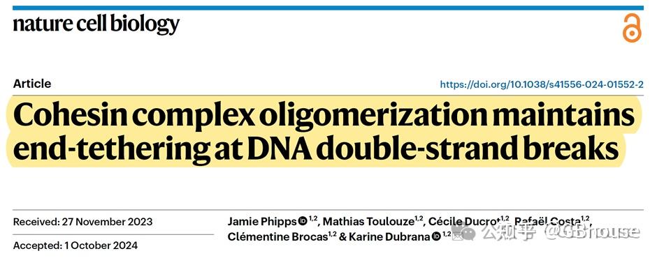 NCB|看Cohesin如何介导DNA双链断裂末端连接 - 知乎