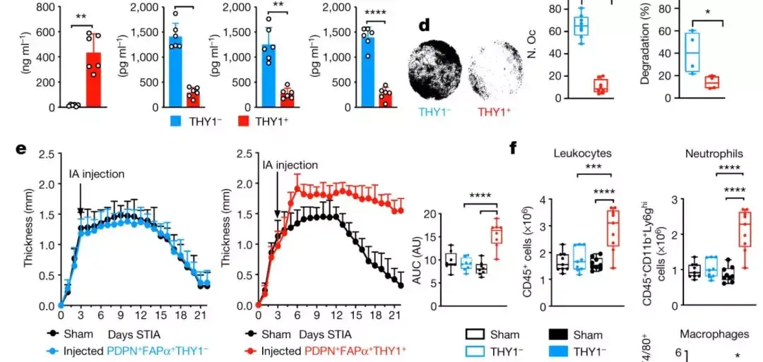数据图美化实操教程：手把手教你画出Nature同款Column图 - 知乎
