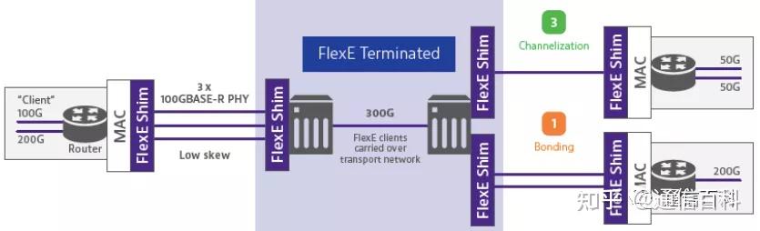 OTN之G.709/G.872的解读 (3-0)-如何利用OTN来承载FlexE？