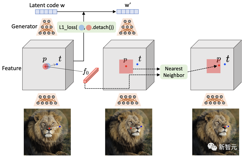 DragGAN第一作者Xingang Pan，正式加入南洋理工，出任助理教授！ - 知乎
